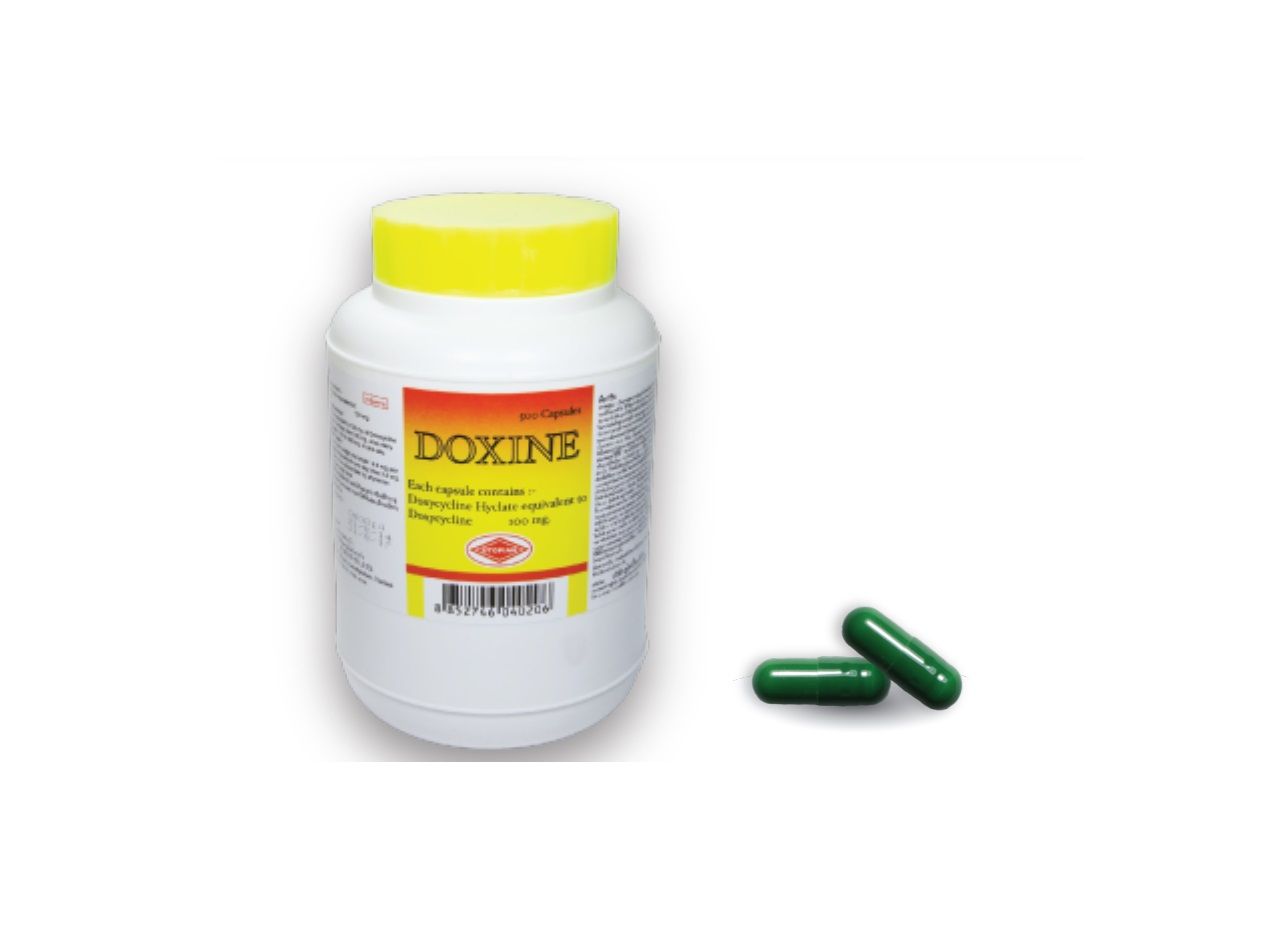Doxine 100mg UTOPIAN (Bottle/500s) - Buymed Thailand - ซื้อยาที่บายเมด ...